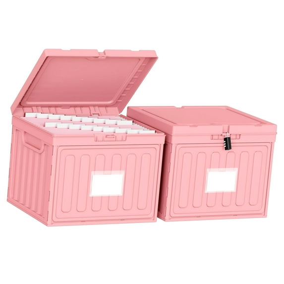 Myst Design Plastic File Box with Lid for Letter Size File Folders ...