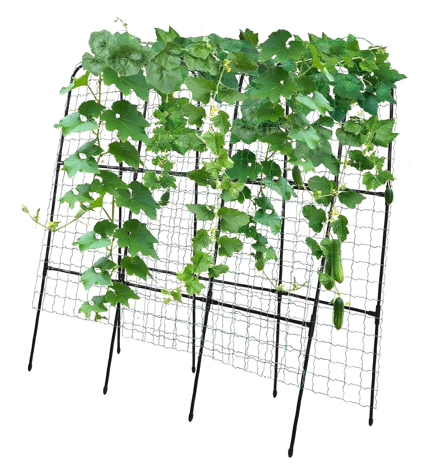 Myst Design Tall Garden Arch Support for Climbing Plants, 4 ft High ...