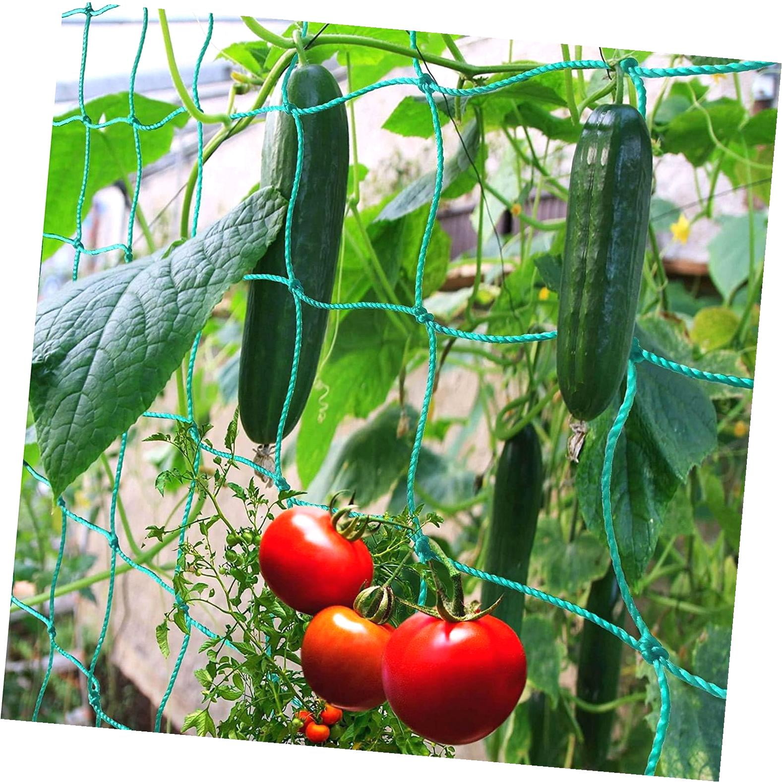 Myst Design Trellis Netting for Climbing Plants - Garden Trellis ...