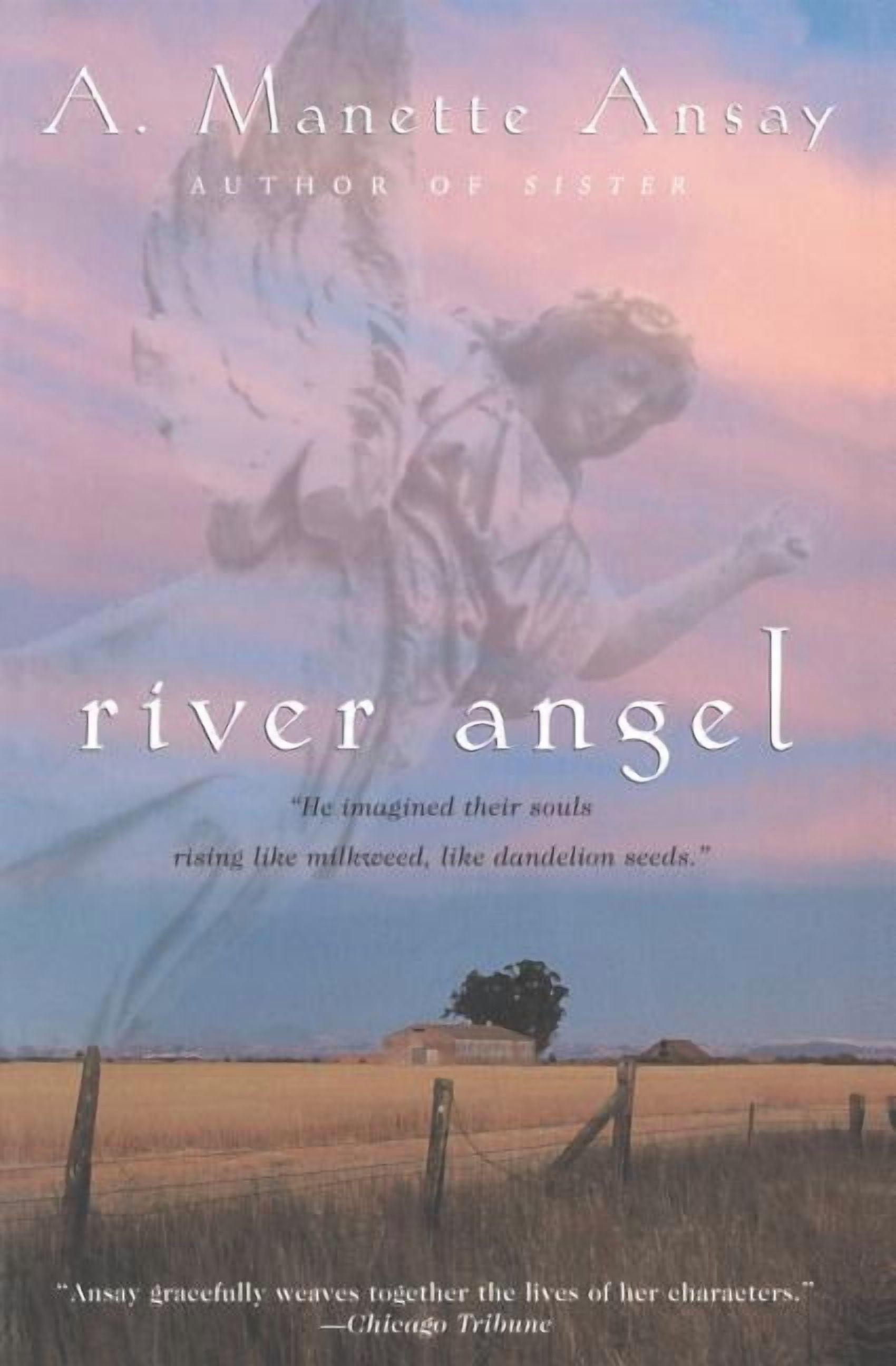 Mysteries & Horror River Angel, (Paperback) - Walmart Business Supplies