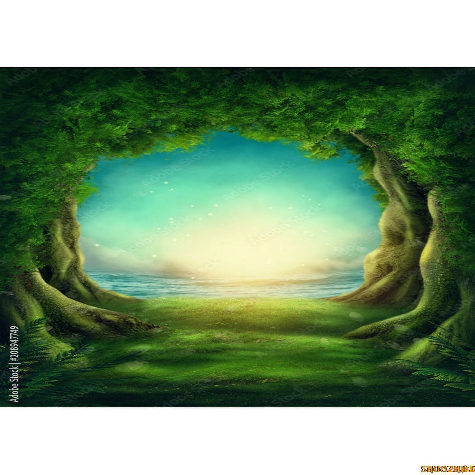 Mystery Tropical Coniferous Forest Moss Fall Trees Photography ...