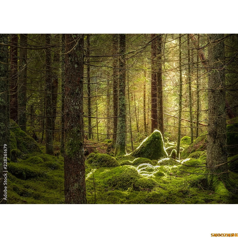 USA American Flag Hawaiian Shirt For Men Vacation Stars And Stripes Casual Shirts Short-Sl ...