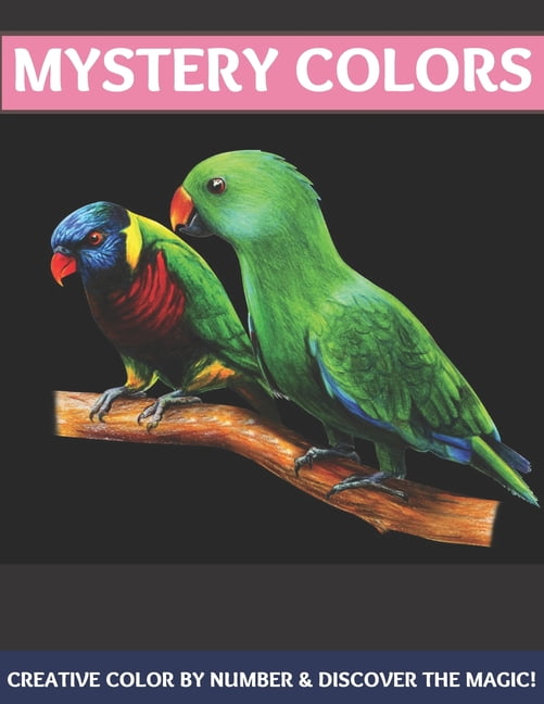 Mystery colors creative color by number & discover the magic: Large ...