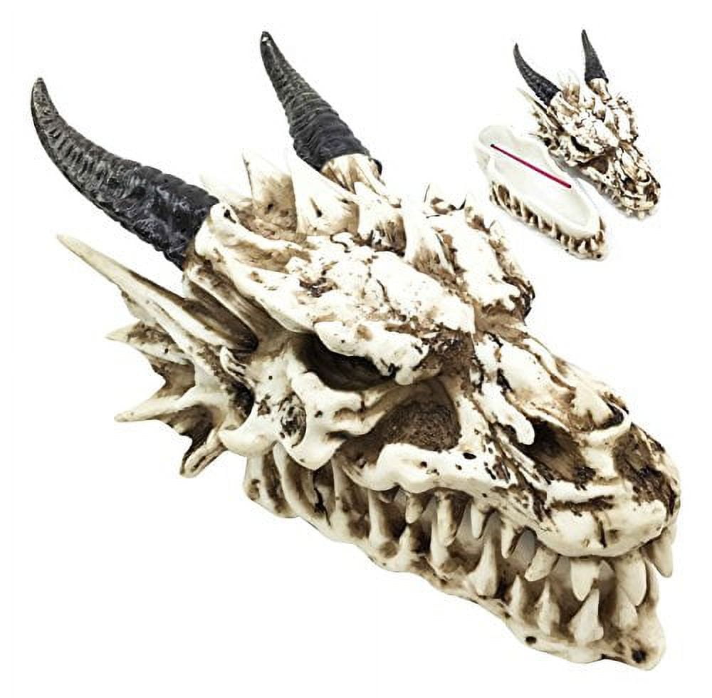 Myths and Fantasy Smoking Nostrils and Eyes Bone Skeletal Skeleton ...