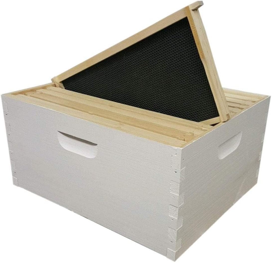 'N' More Amish Made in USA Painted and Assembled Langstroth 10 Frame Deep/Brood Box w/Frames and ...