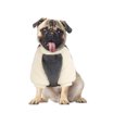 Dog Sweater Reflective Waterproof Pet Winter Warm For Small Medium ...