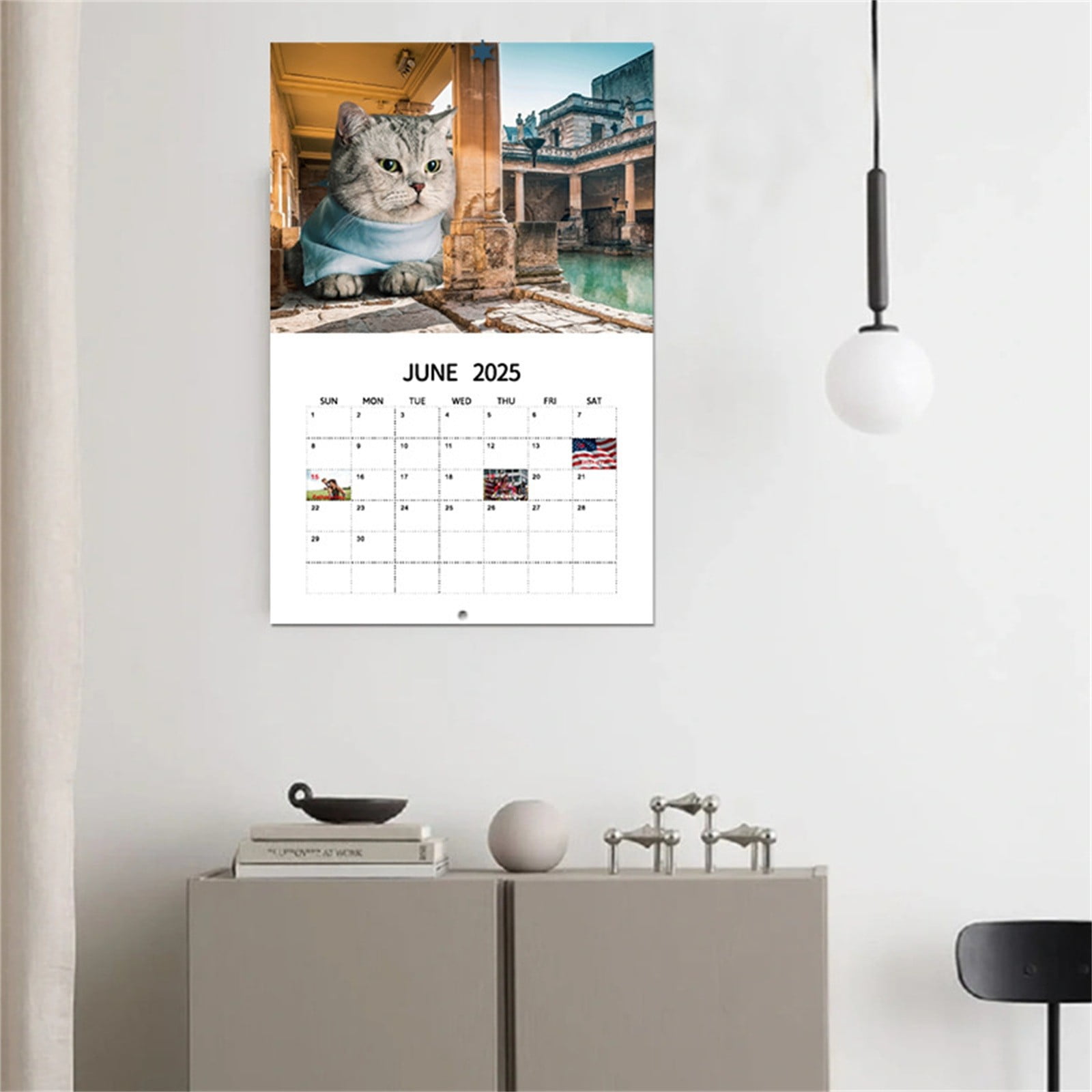 NAMTYQX 2025 Wall Calendar with Giant Cats Perfect Funny Calendar 2025 ...
