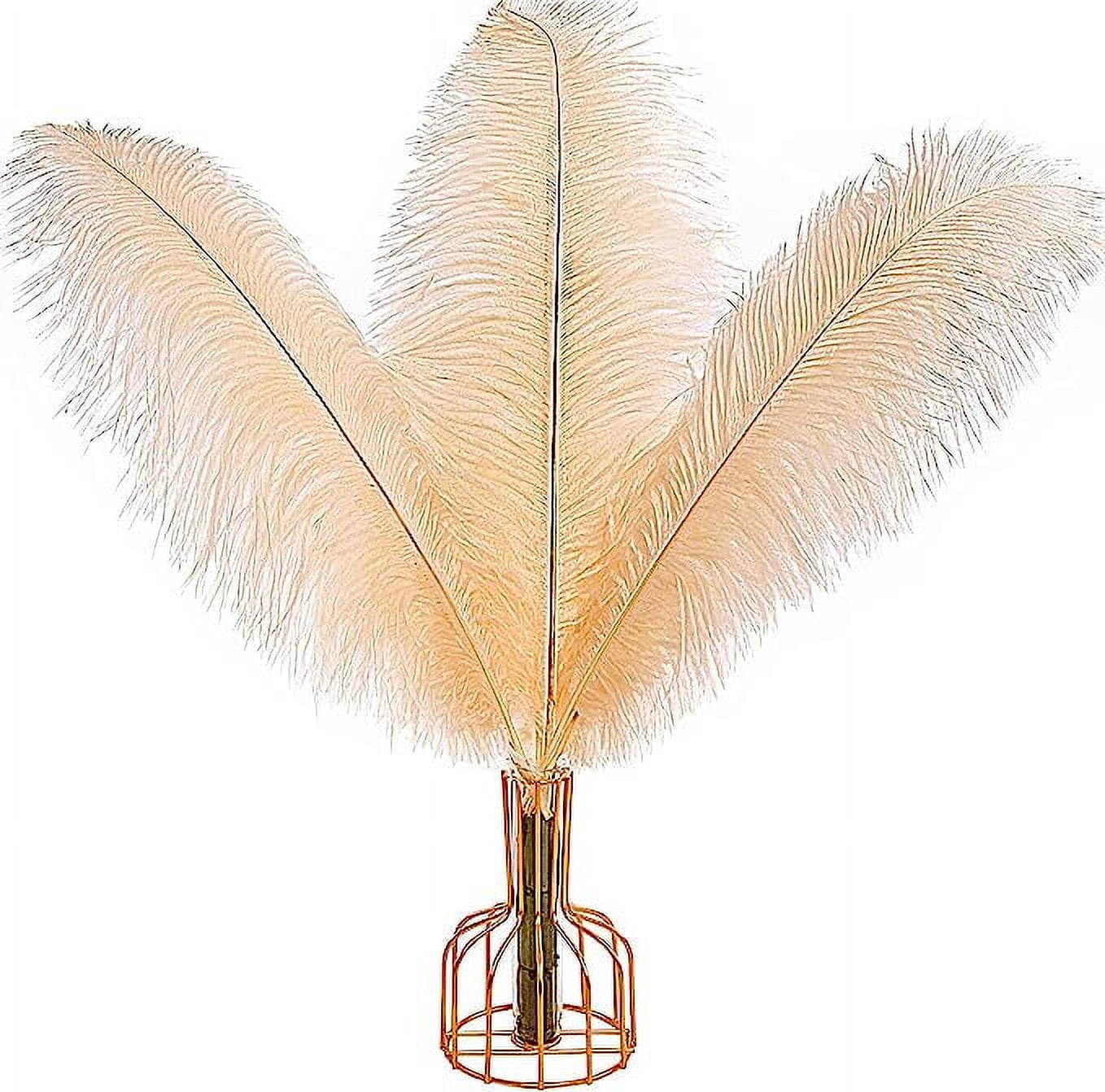 NAMZI Champagne Ostrich Feathers 12pcs Large Natural Bulk 12-14Inch ...