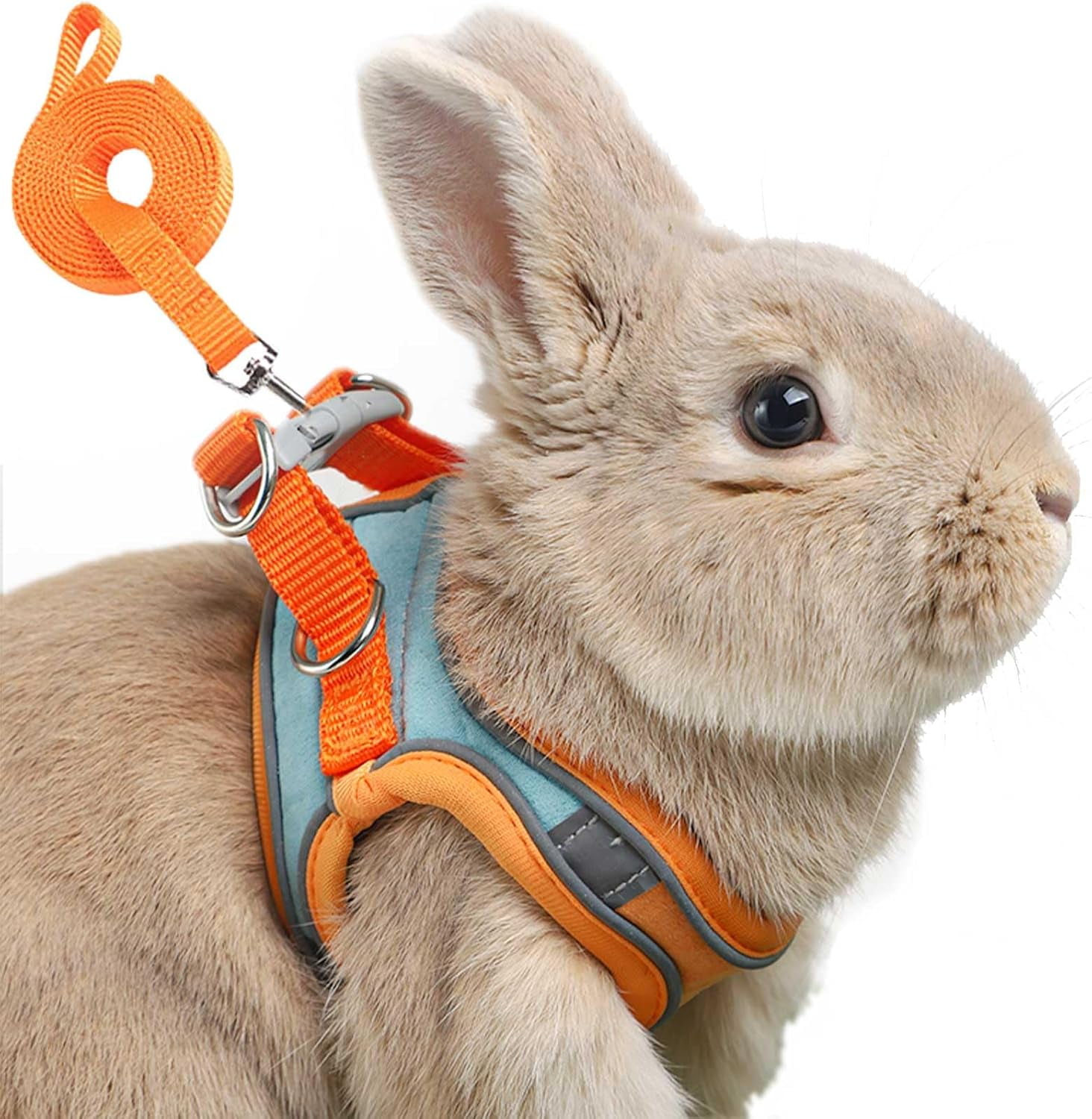 NANAHuang Adjustable Bunny Harness and Leash Set Double Buckle with ...