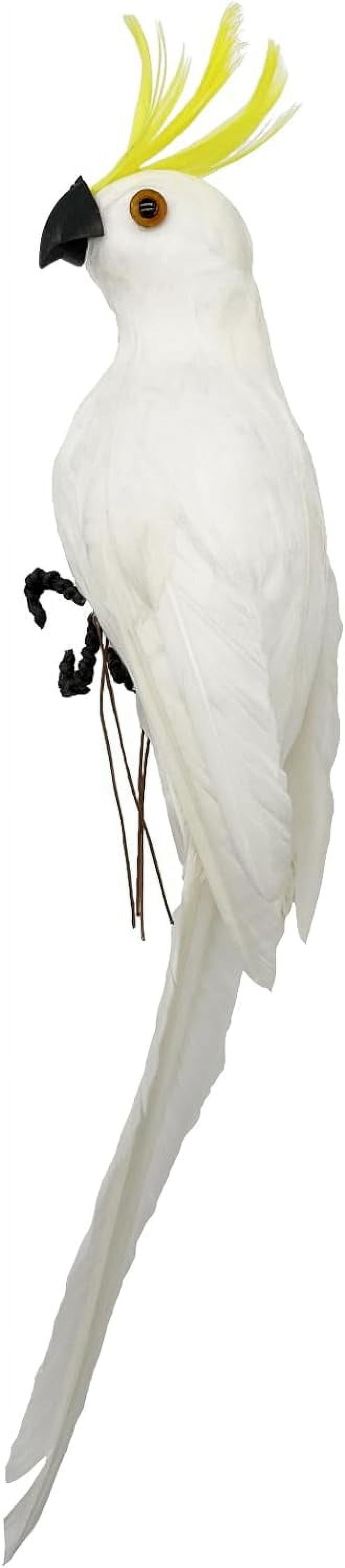 NANAHuang Artificial Parrot Life Size Artificial Simulation Foam ...