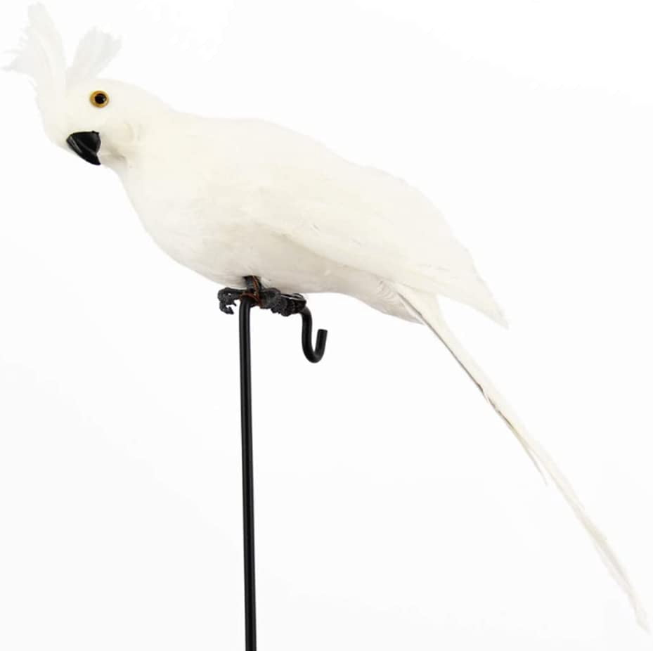 NANAHuang Artificial Parrot Life Size Artificial Simulation Foam ...