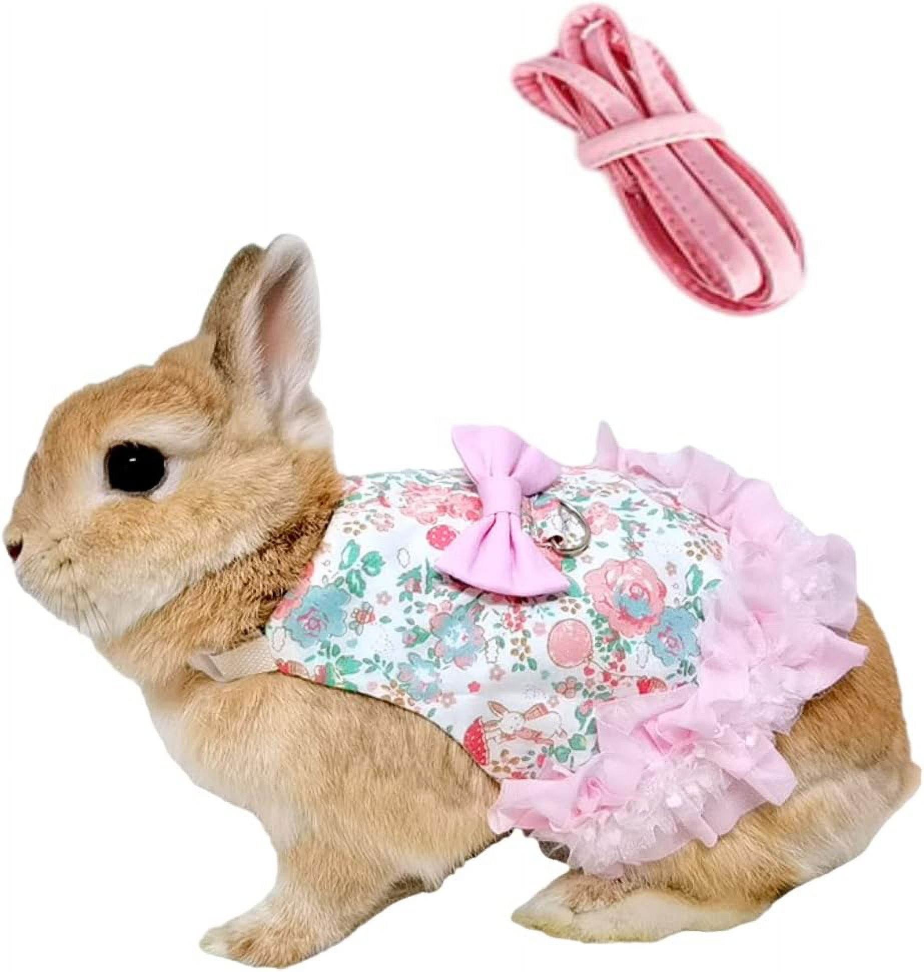 NANAHuang Rabbit Harness and Leash for Walking Escape Proof - Mesh ...