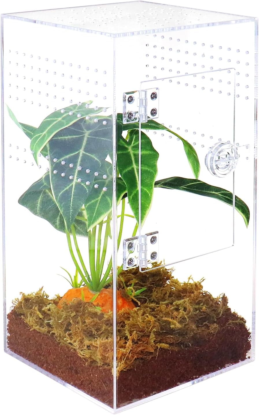 NANEEZOO Jumping Spider Enclosure with Front Opening Door, 6"x6"x12 ...