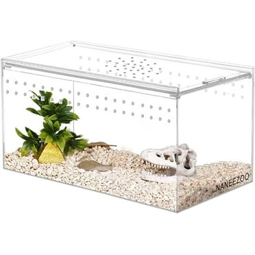 Acrylic Jumping Spider Habitat, Insect Terrarium, Bug Enclosure ...