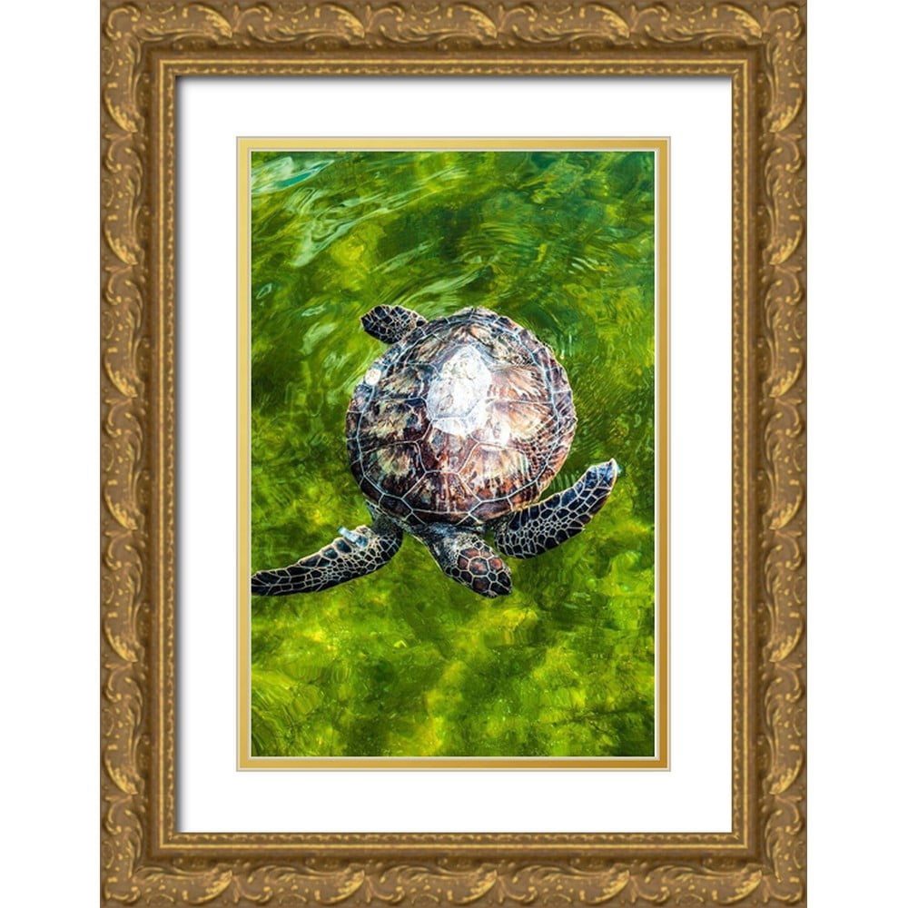 NASA 11x14 Gold Ornate Wood Framed with Double Matting Museum Art Print ...