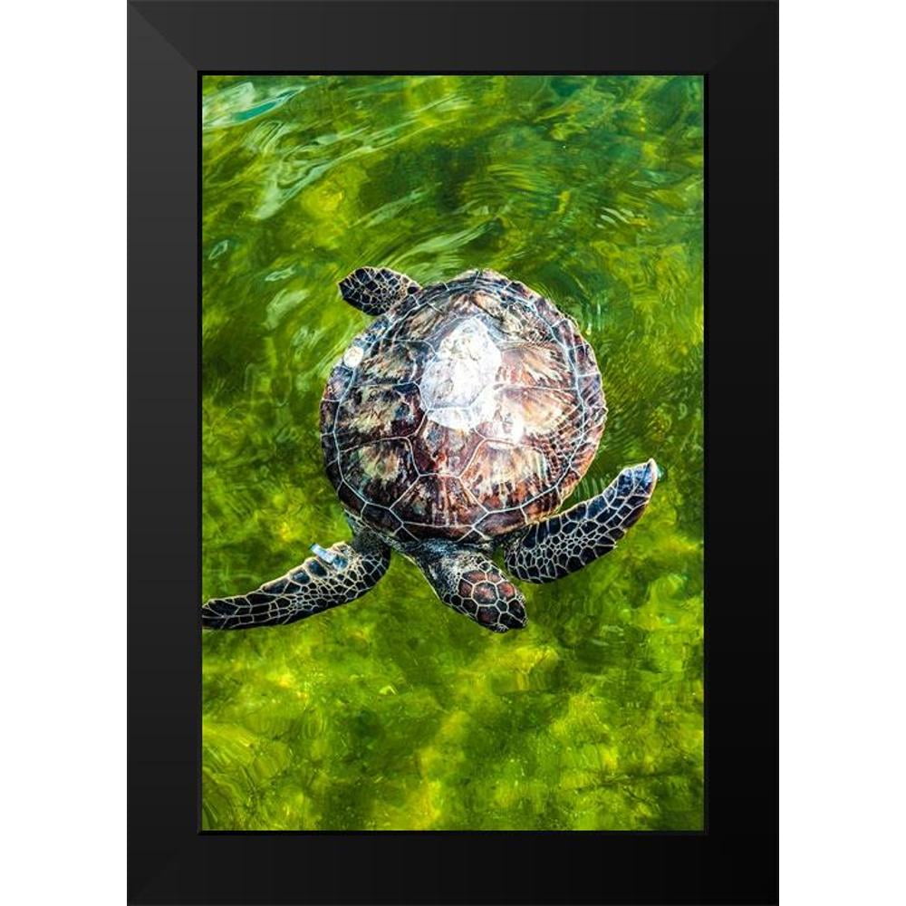 NASA 13x18 Black Modern Framed Museum Art Print Titled - Green Sea ...
