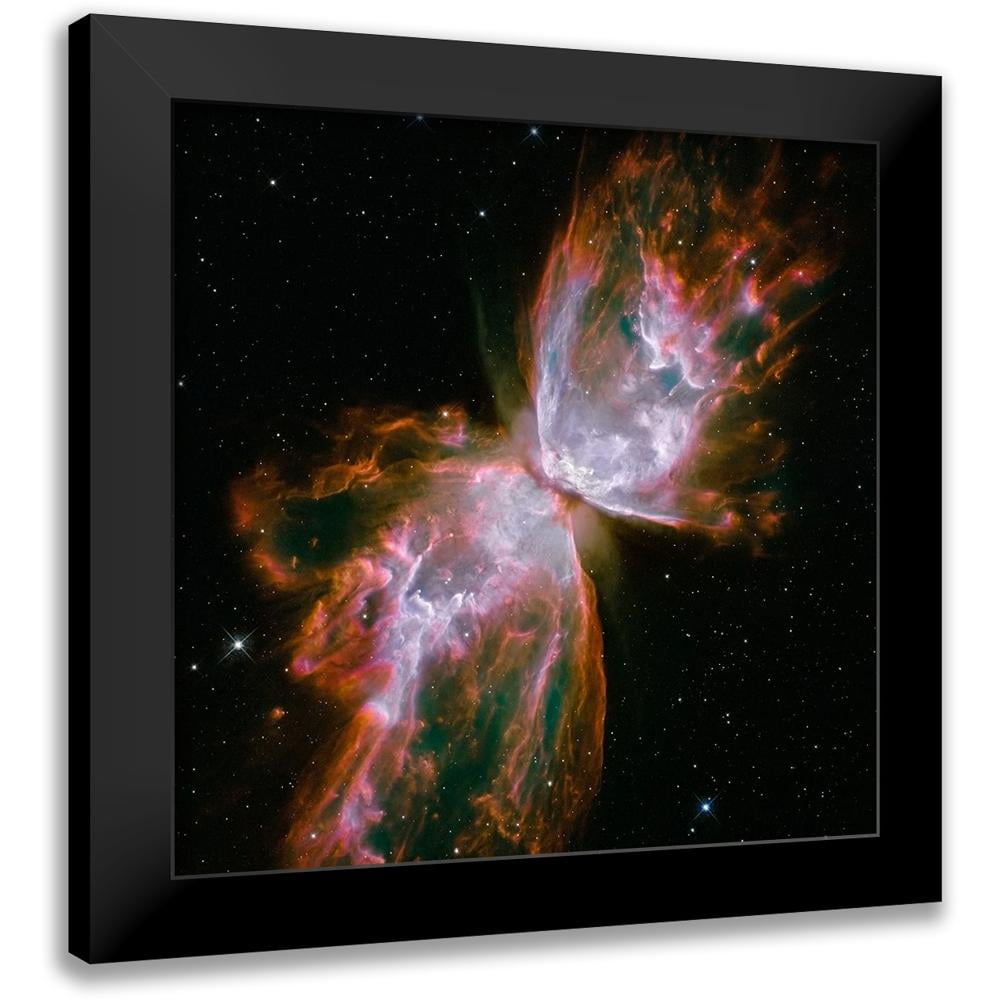 NASA 15x15 Black Modern Framed Museum Art Print Titled - Butterfly ...