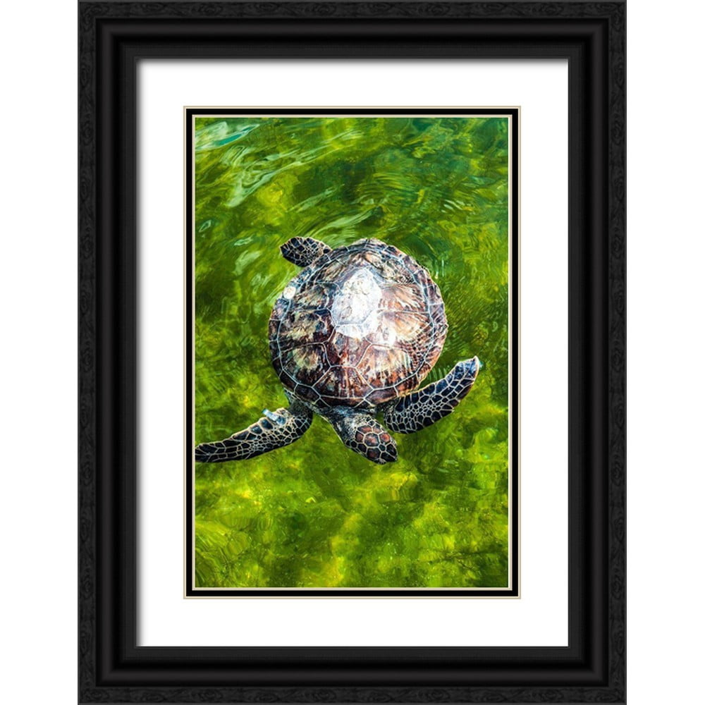 NASA 17x24 Black Ornate Wood Framed with Double Matting Museum Art ...