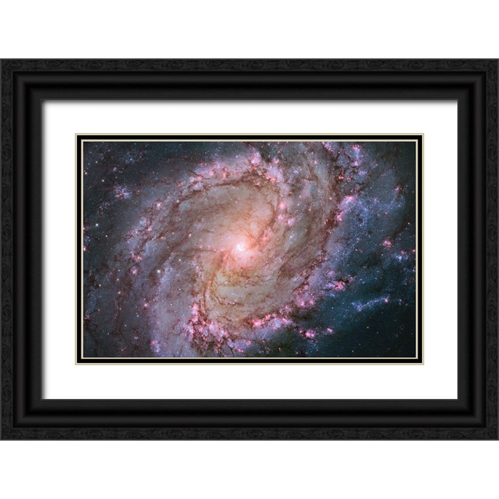 NASA 24x17 Black Ornate Wood Framed with Double Matting Museum Art ...