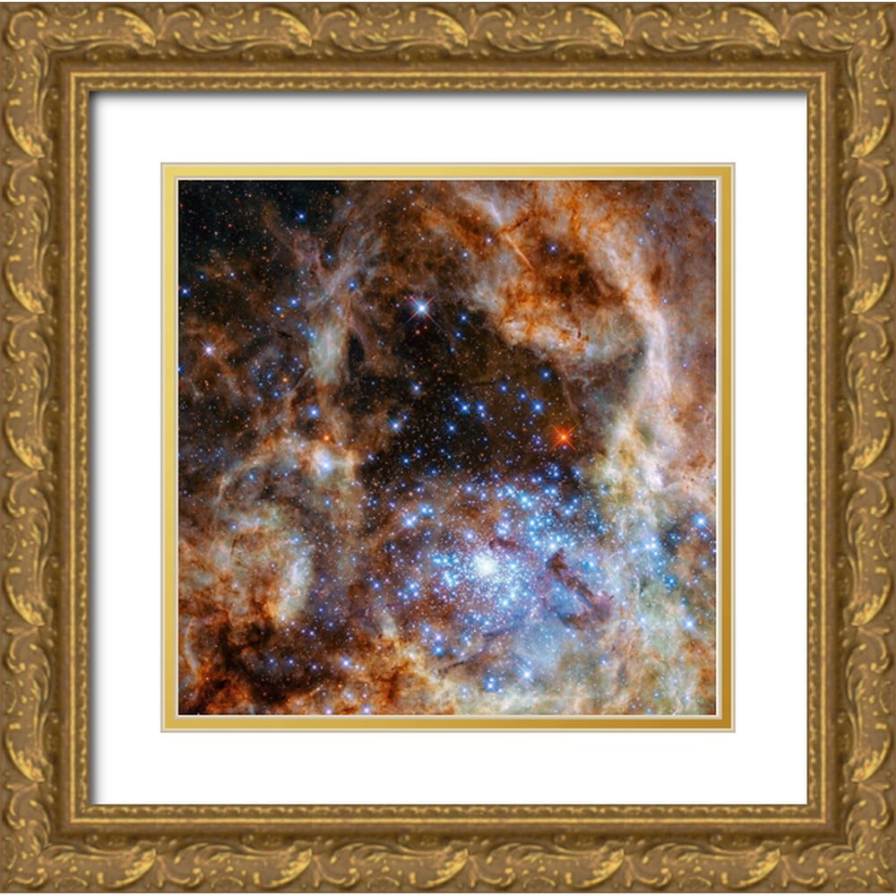 NASA 26x26 Gold Ornate Wood Framed with Double Matting Museum Art Print ...