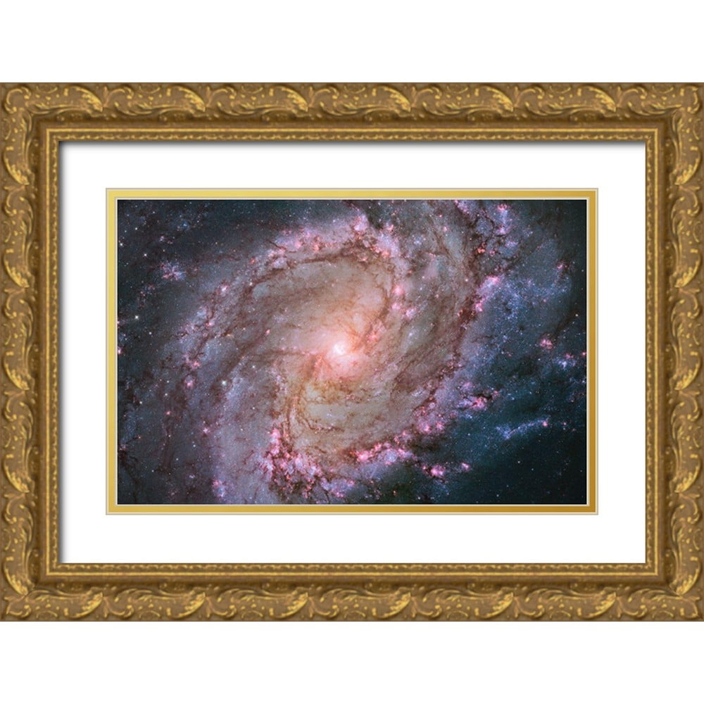 NASA 32x22 Gold Ornate Wood Framed with Double Matting Museum Art Print Titled - Spiral Galaxy ...