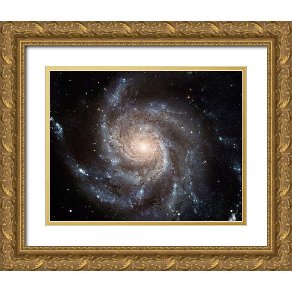NASA 32x26 Gold Ornate Wood Framed with Double Matting Museum Art Print ...