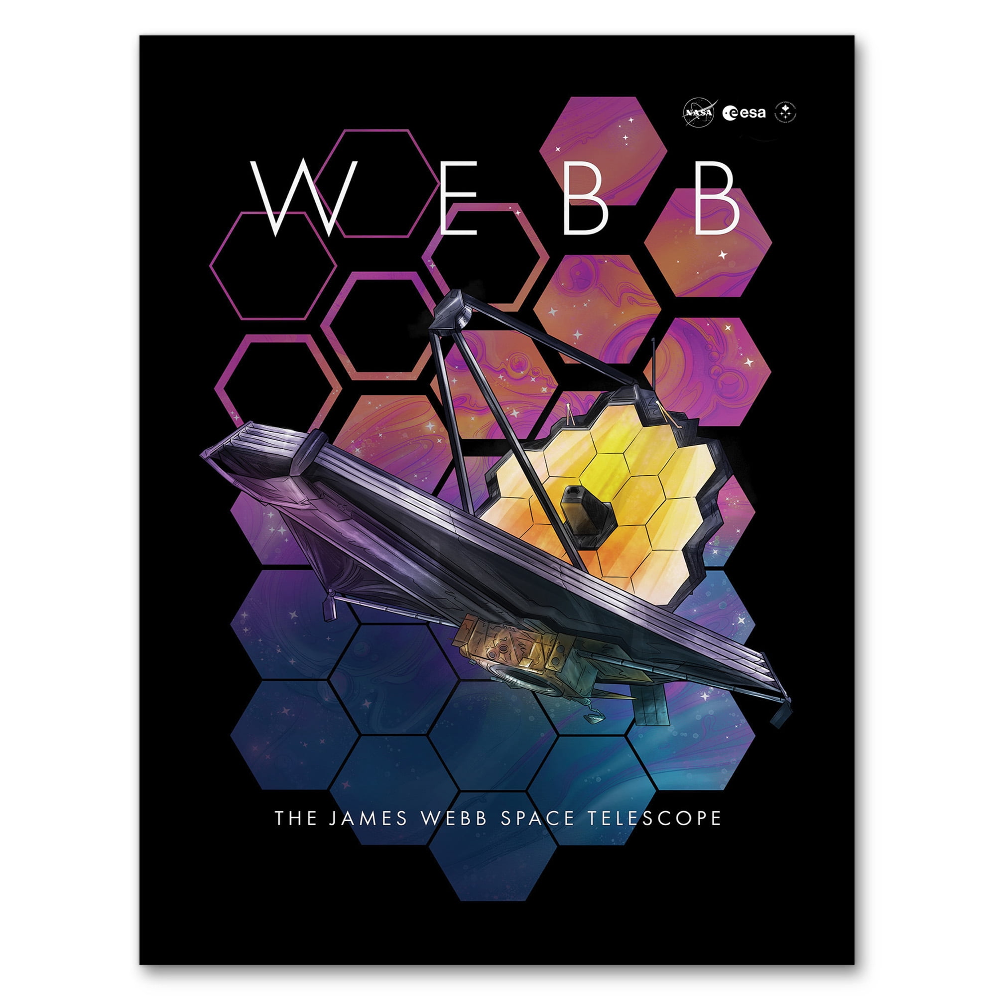 NASA James Webb Space Telescope 1st Anniversary Black Bedroom Decor ...