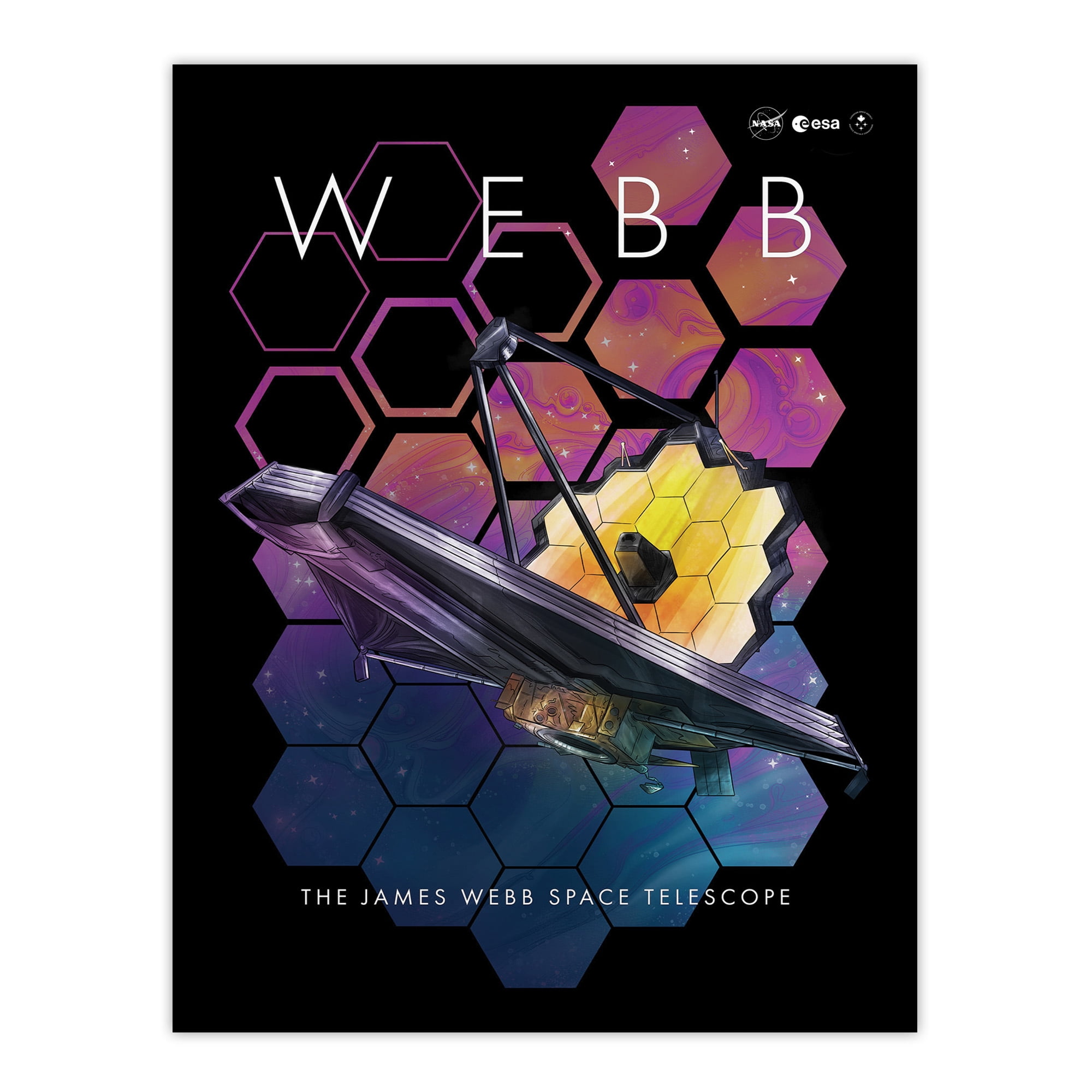 NASA James Webb Space Telescope 1st Anniversary Black Bedroom Decor ...