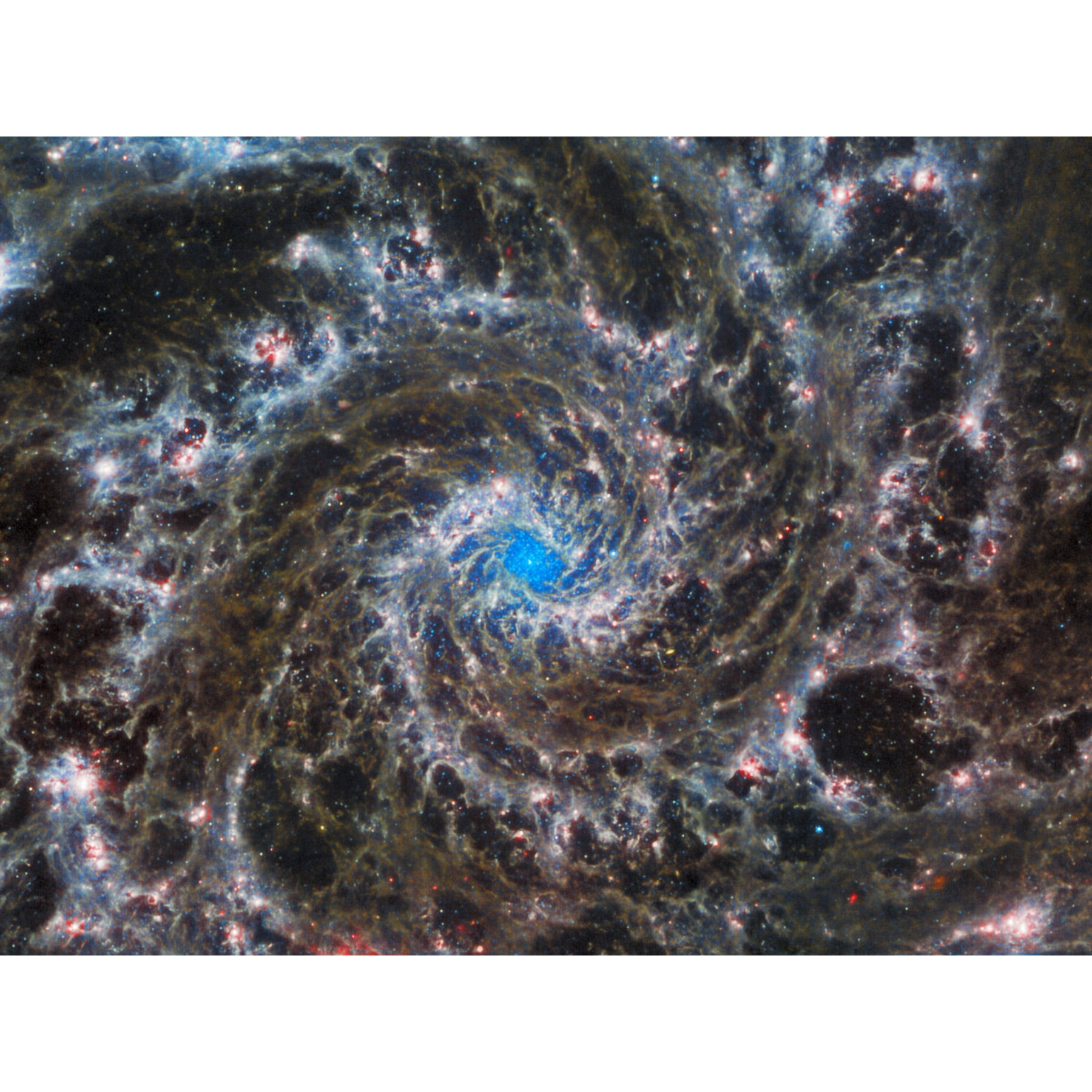 NASA James Webb Space Telescope Inspects the Heart of the Phantom Galaxy M74 Extra Large XL Wall ...