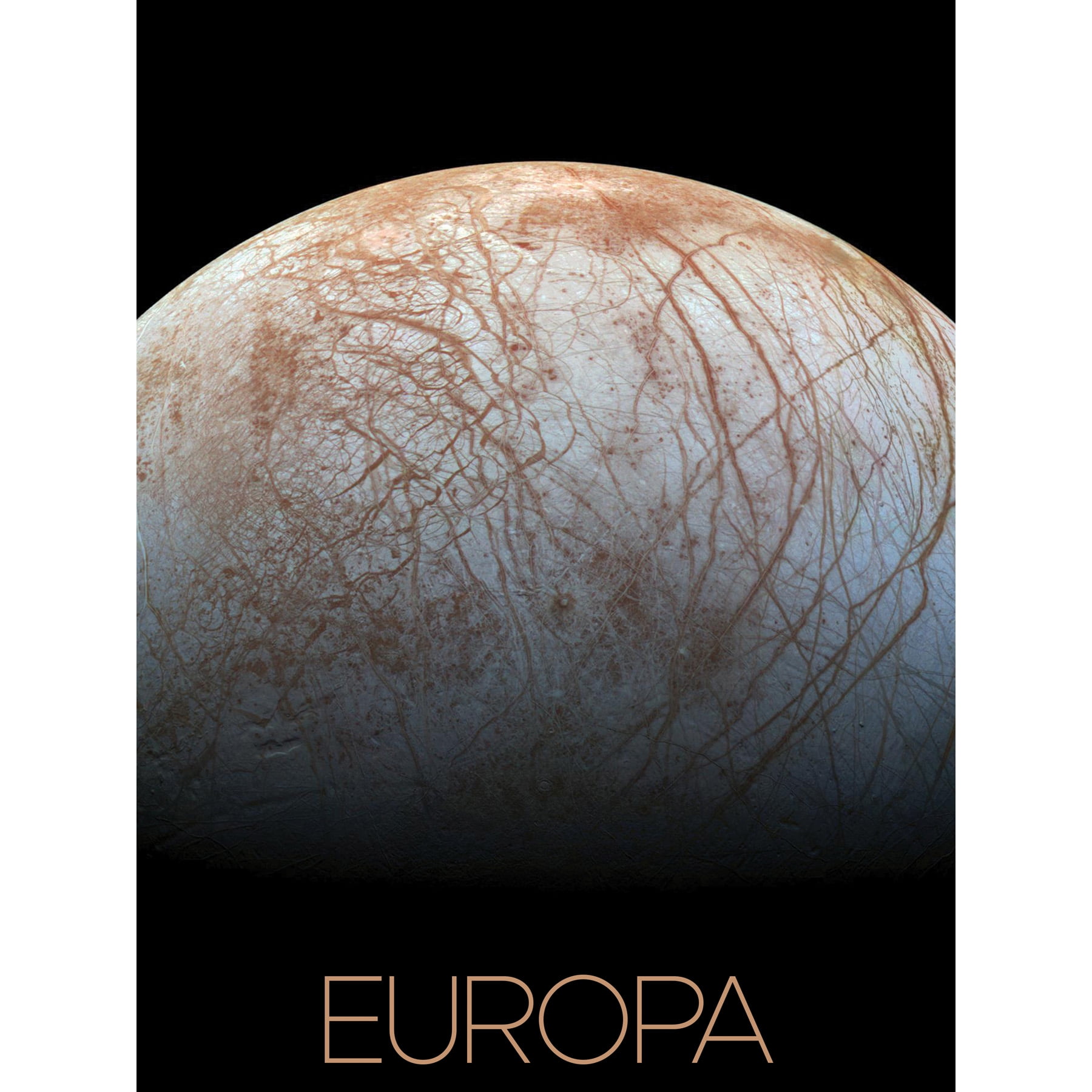 NASA Our Solar System Europa Jupiter's Moon Ice Surface Extra Large XL ...
