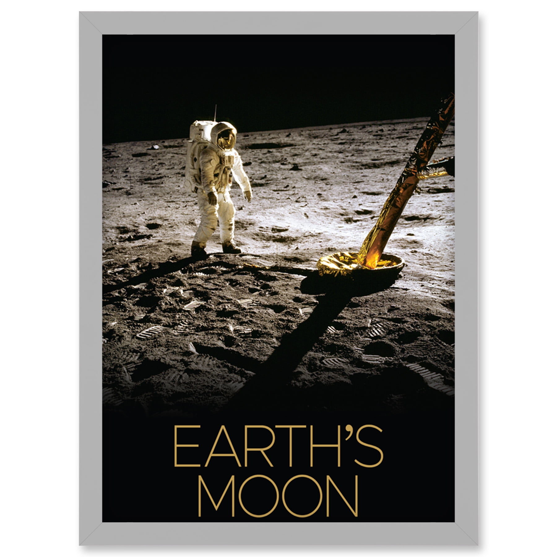 NASA Our Solar System Moon Apollo 11 Lunar Module Buzz Aldrin Artwork ...