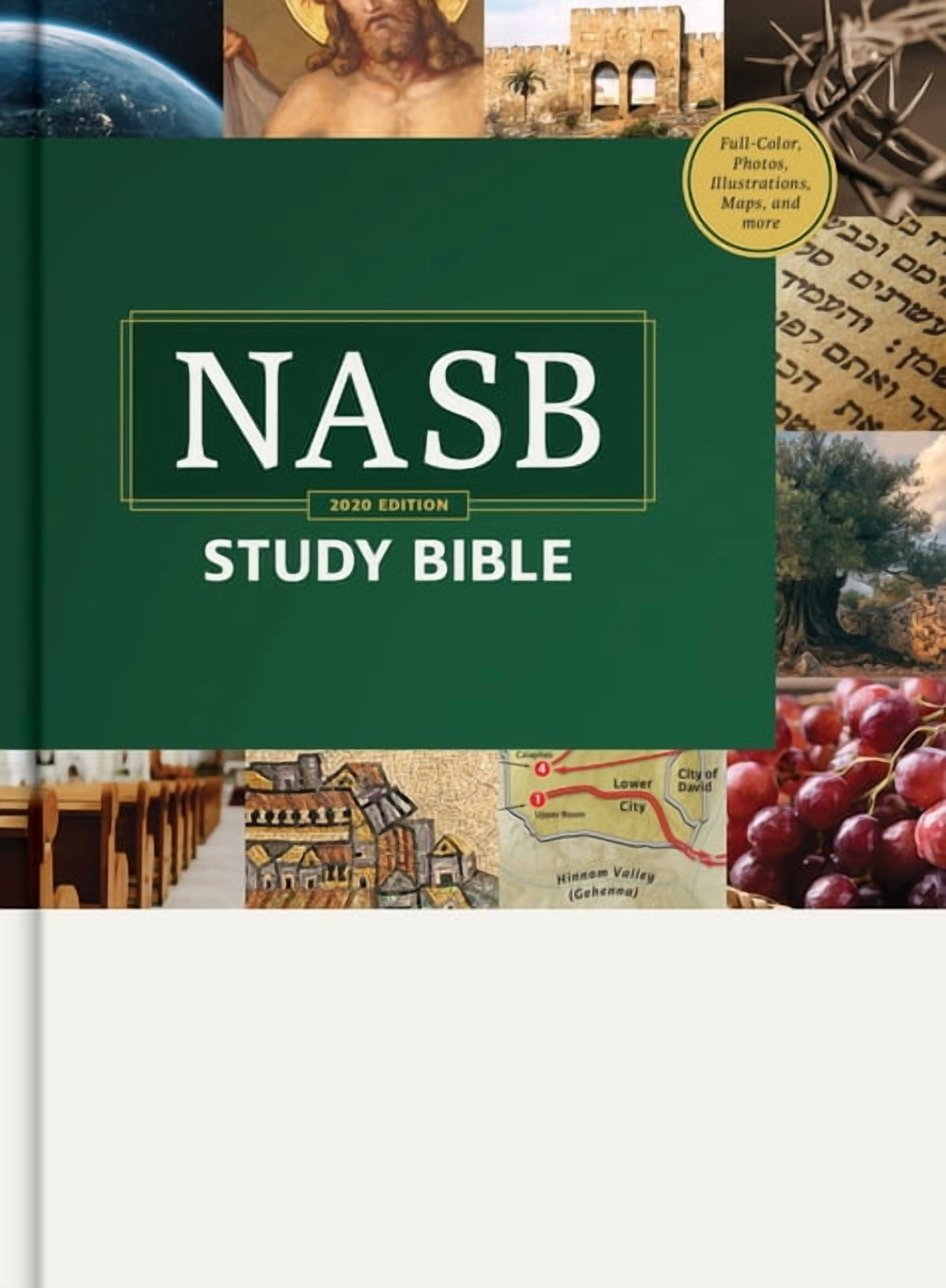 NASB Study Bible, Hardcover, (Hardcover) - Walmart.com