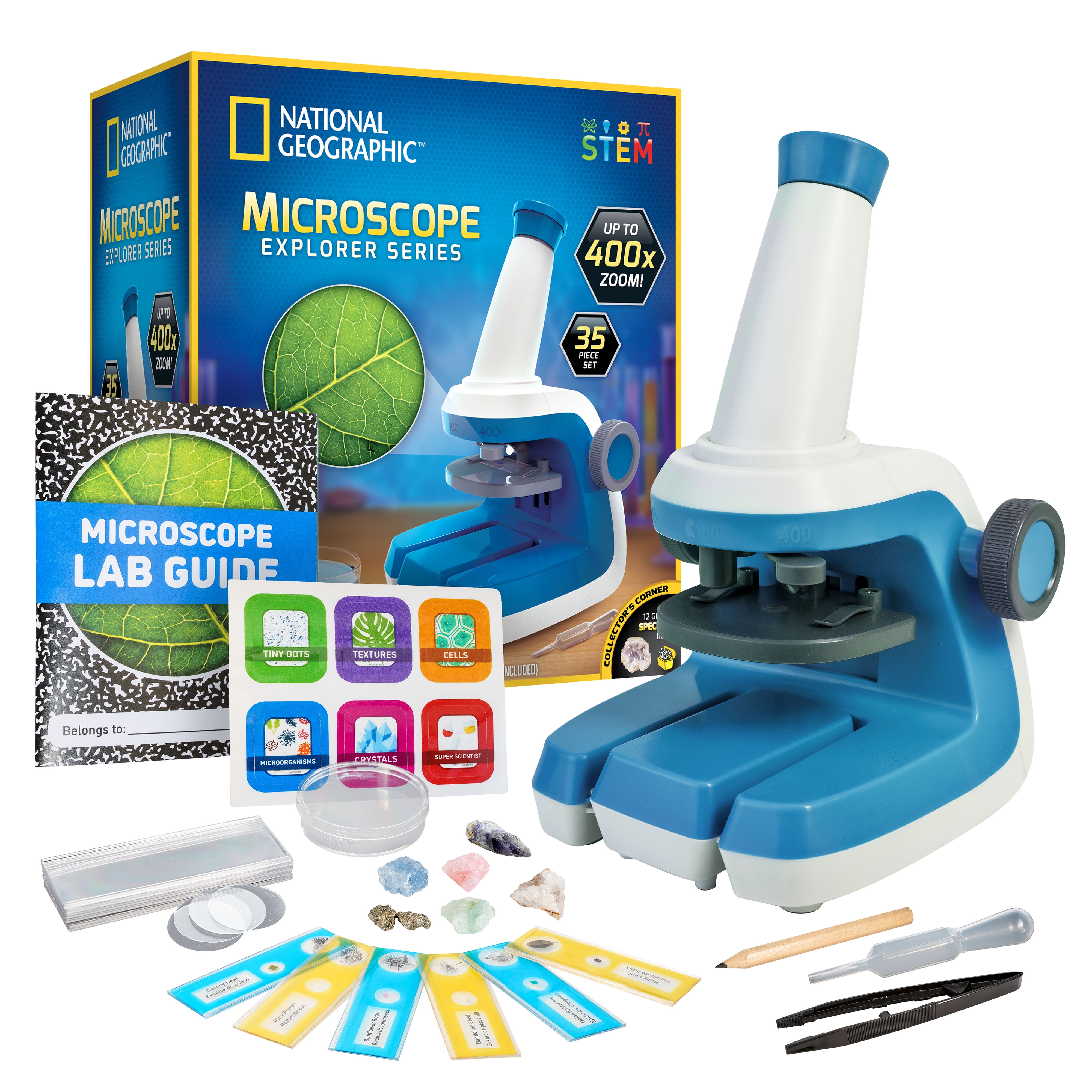 Cells Under A Microscope For Kids