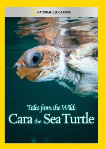 NATIONAL GEOGRAPHIC KIDS VIDEO - TALES FROM THE WILD: CARA THE SEA ...