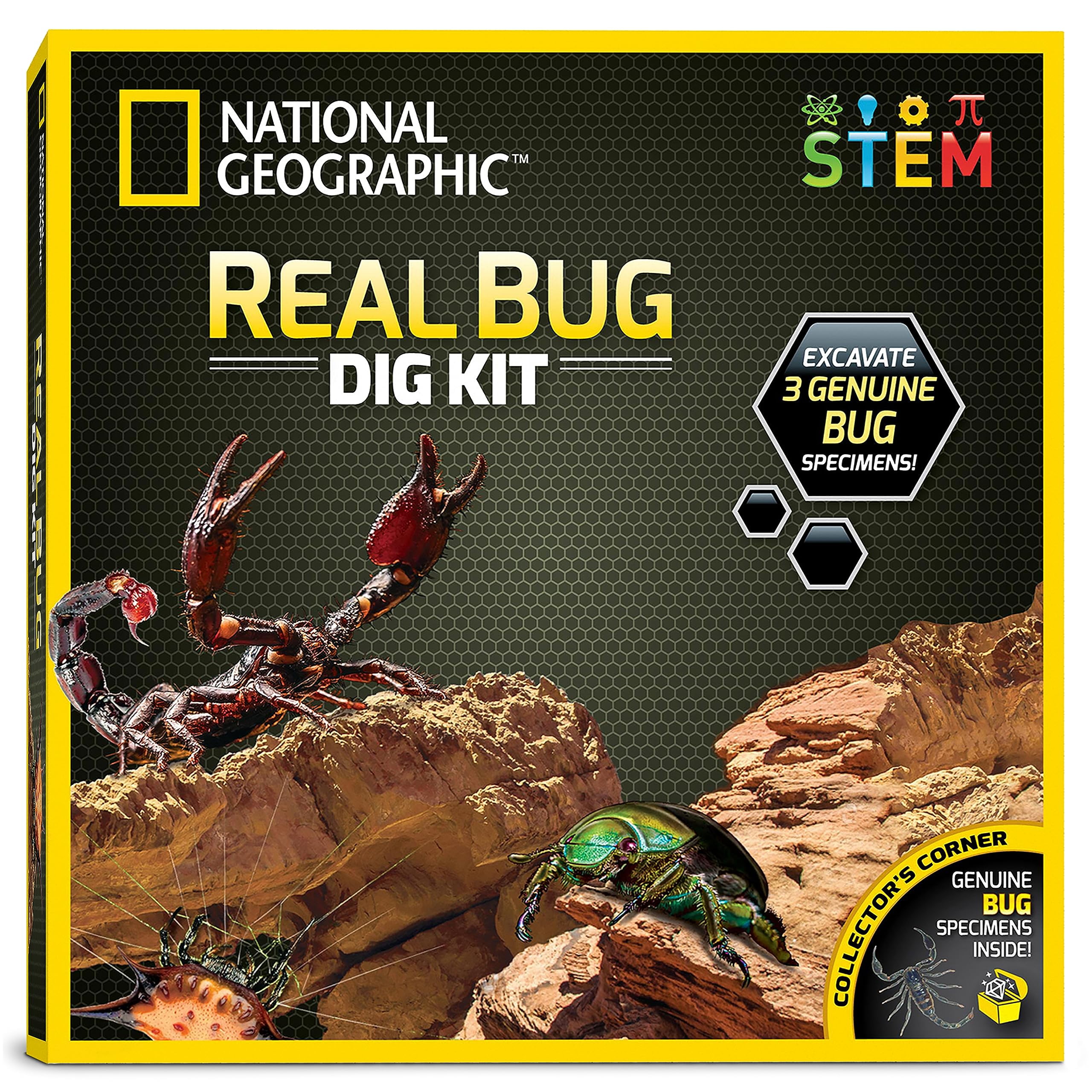 NATIONAL GEOGRAPHIC Real Bug MMF7 Dig Kit - Dig up 3 Real Insects ...