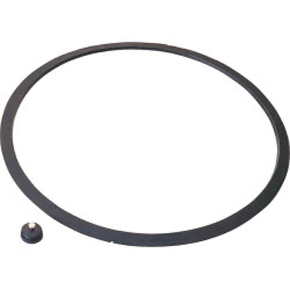 NATIONAL PRESTO IND 09909 Pressure Cook Seal Ring - Walmart.com