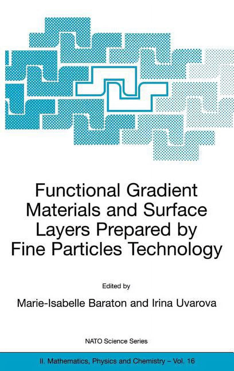 NATO Science Series II: Mathematics, Physics and Chemistry: Functional ...