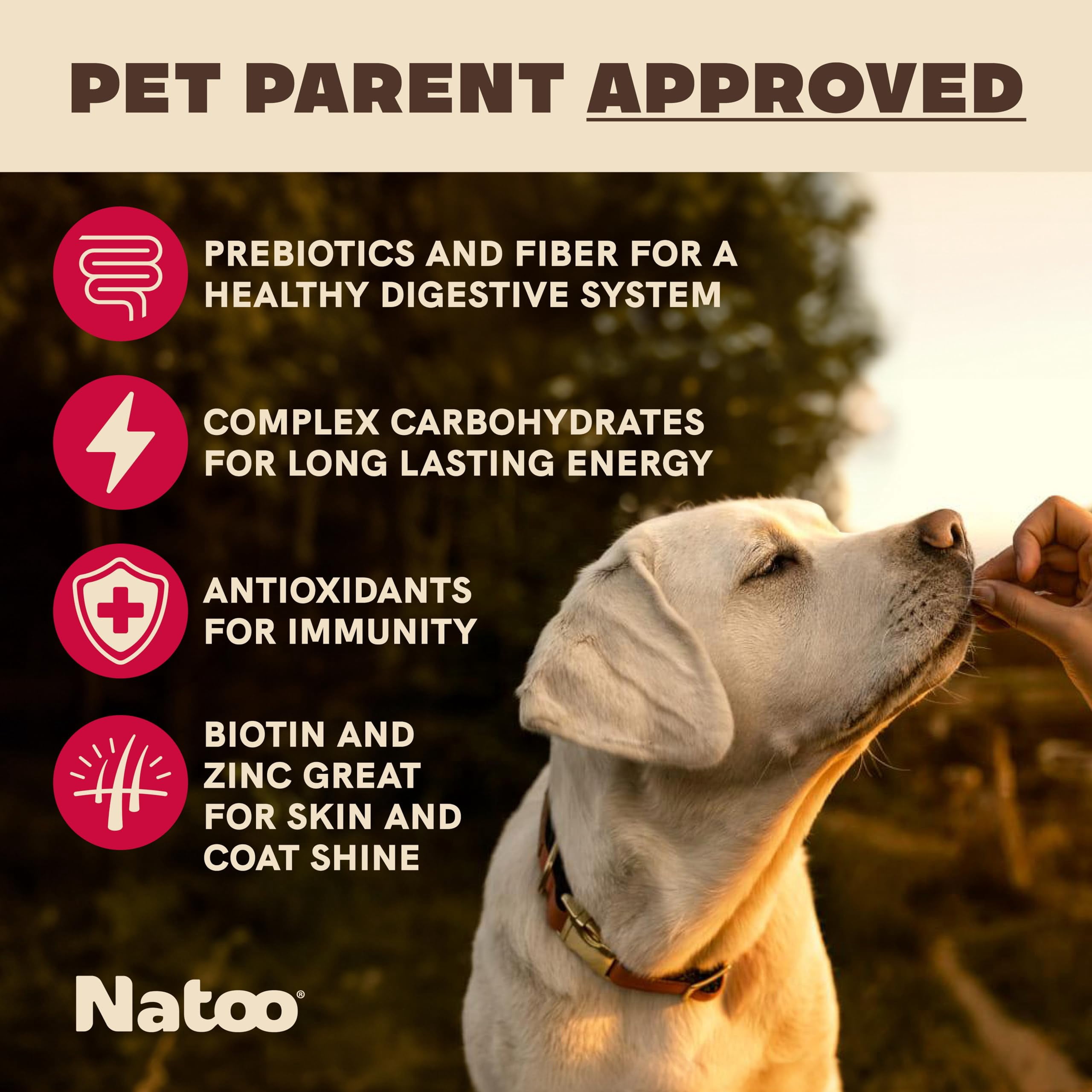 NATOO Biscuits for Small Dogs & Puppies H2FSDCrunchy Dog Treats, Oats ...