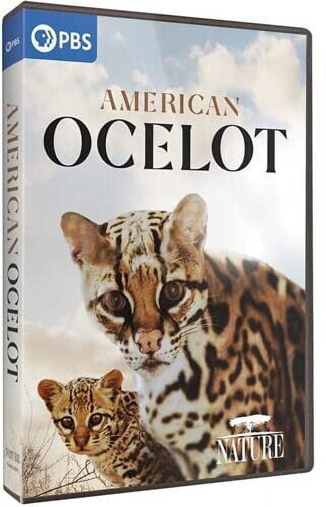 NATURE: American Ocelot (DVD), PBS (Direct), Documentary - Walmart.com