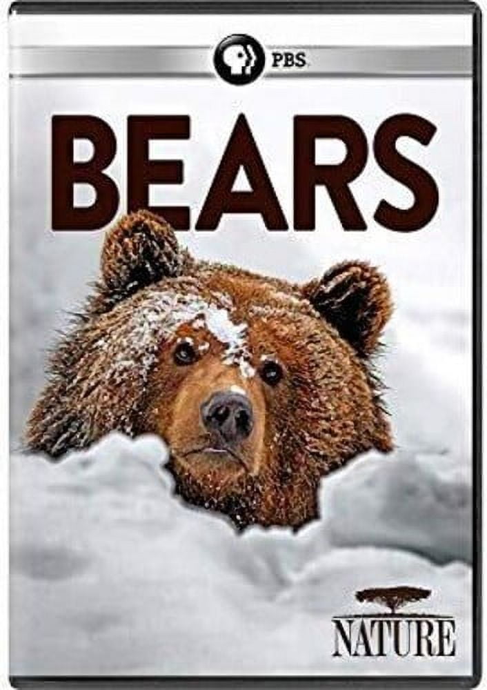 NATURE: Bears (DVD), PBS (Direct), Documentary - Walmart.com