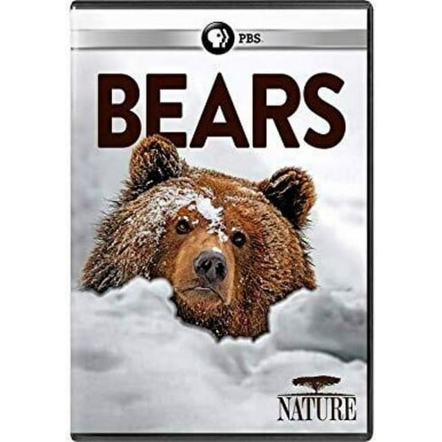 NATURE: Bears (DVD), PBS (Direct), Documentary - Walmart.com