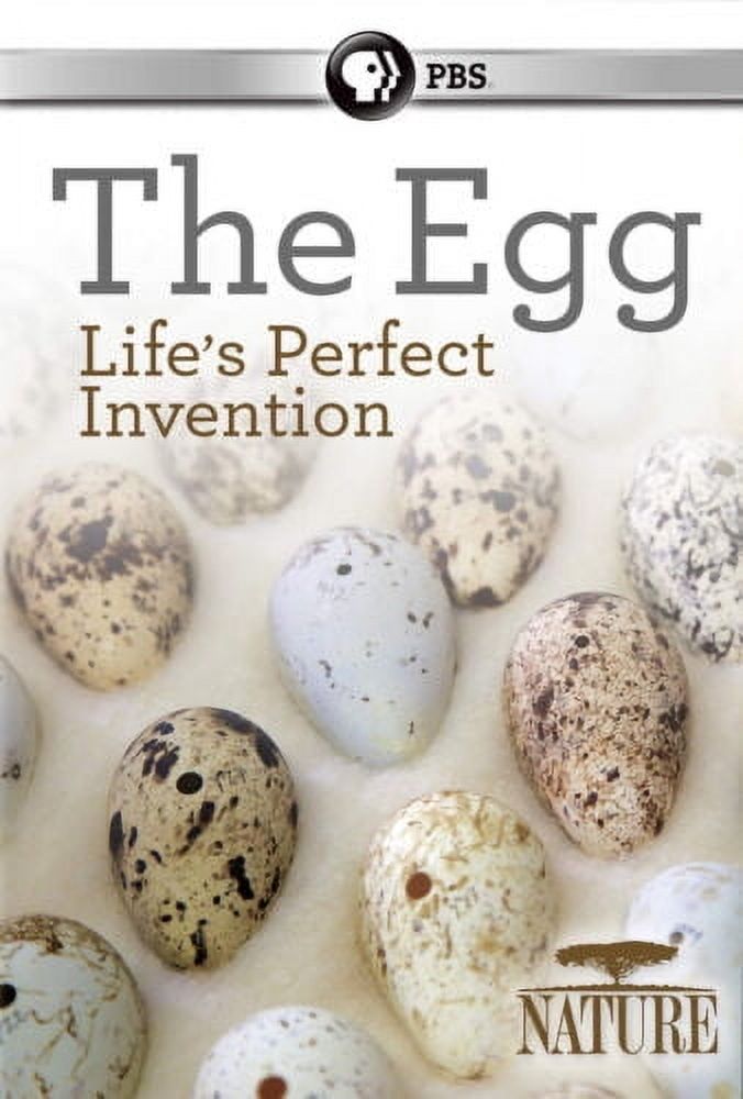 NATURE: EGG: LIFE'S PERFECT INVENTION [EDIZIONE: STATI UNITI] NEW DVD ...