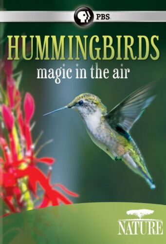 NATURE: HUMMINGBIRDS - MAGIC IN THE AIR NEW DVD | #Catalogs - Walmart.com