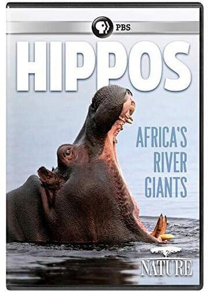 NATURE: Hippos: Africa's River Giants (DVD), PBS (Direct), Documentary ...