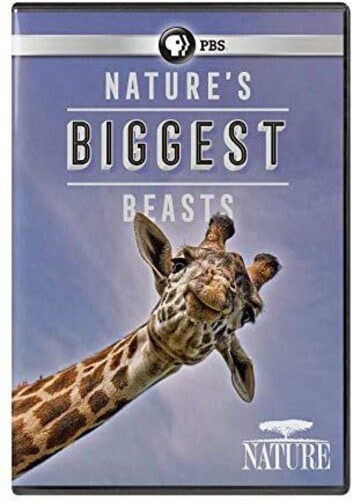 NATURE: Nature's Biggest Beasts (DVD), PBS (Direct), Documentary ...