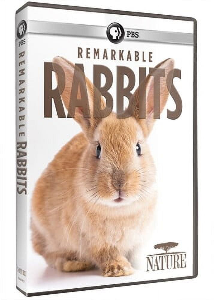 NATURE: Remarkable Rabbits (DVD), PBS (Direct), Documentary - Walmart.com