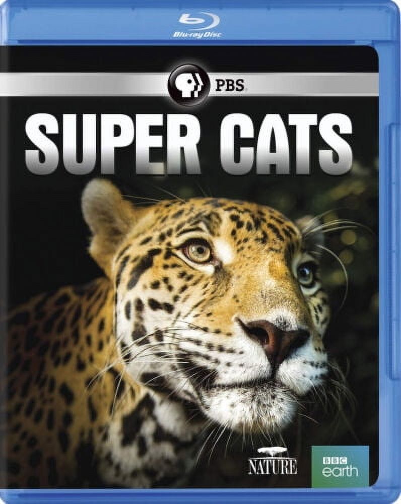 NATURE: SUPER CATS NEW BLU-RAY DISC | #Catalogs - Walmart.com