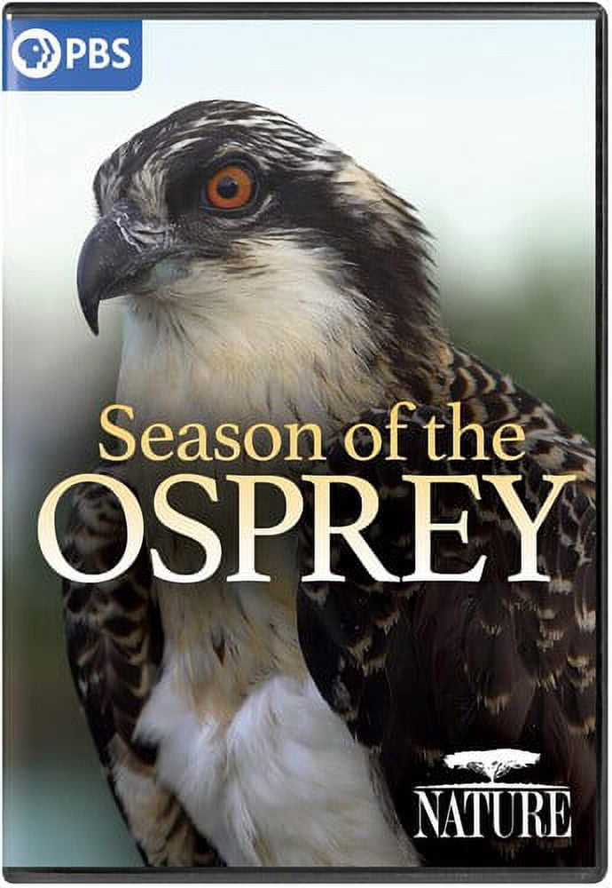 NATURE: Season Of The Osprey (DVD), PBS (Direct), Documentary - Walmart.com