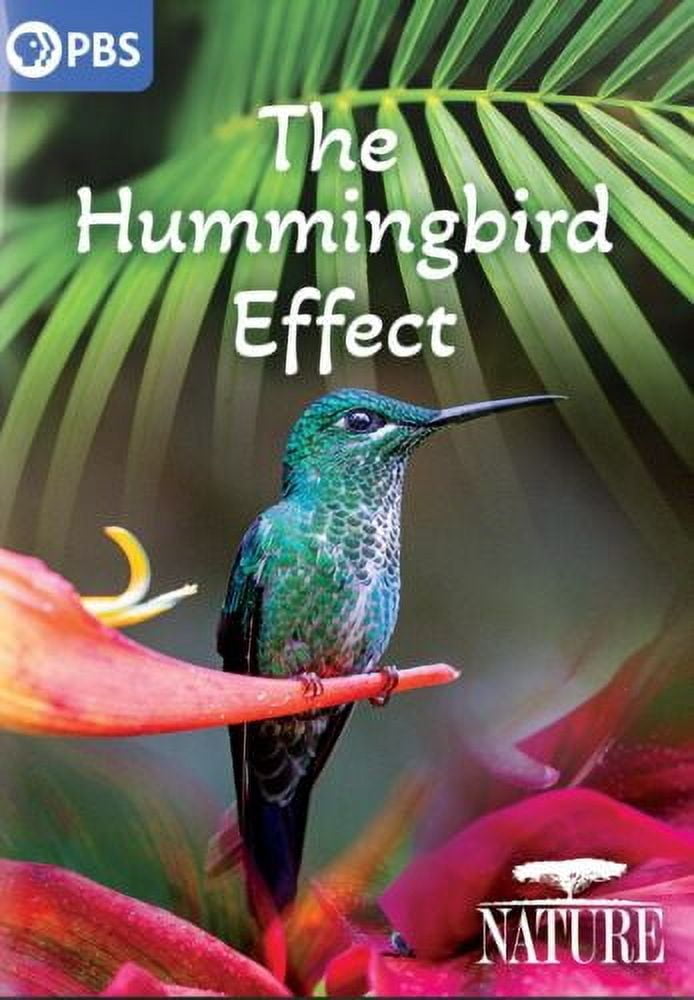 NATURE: THE HUMMINGBIRD EFFECT | #Catalogs - Walmart.com