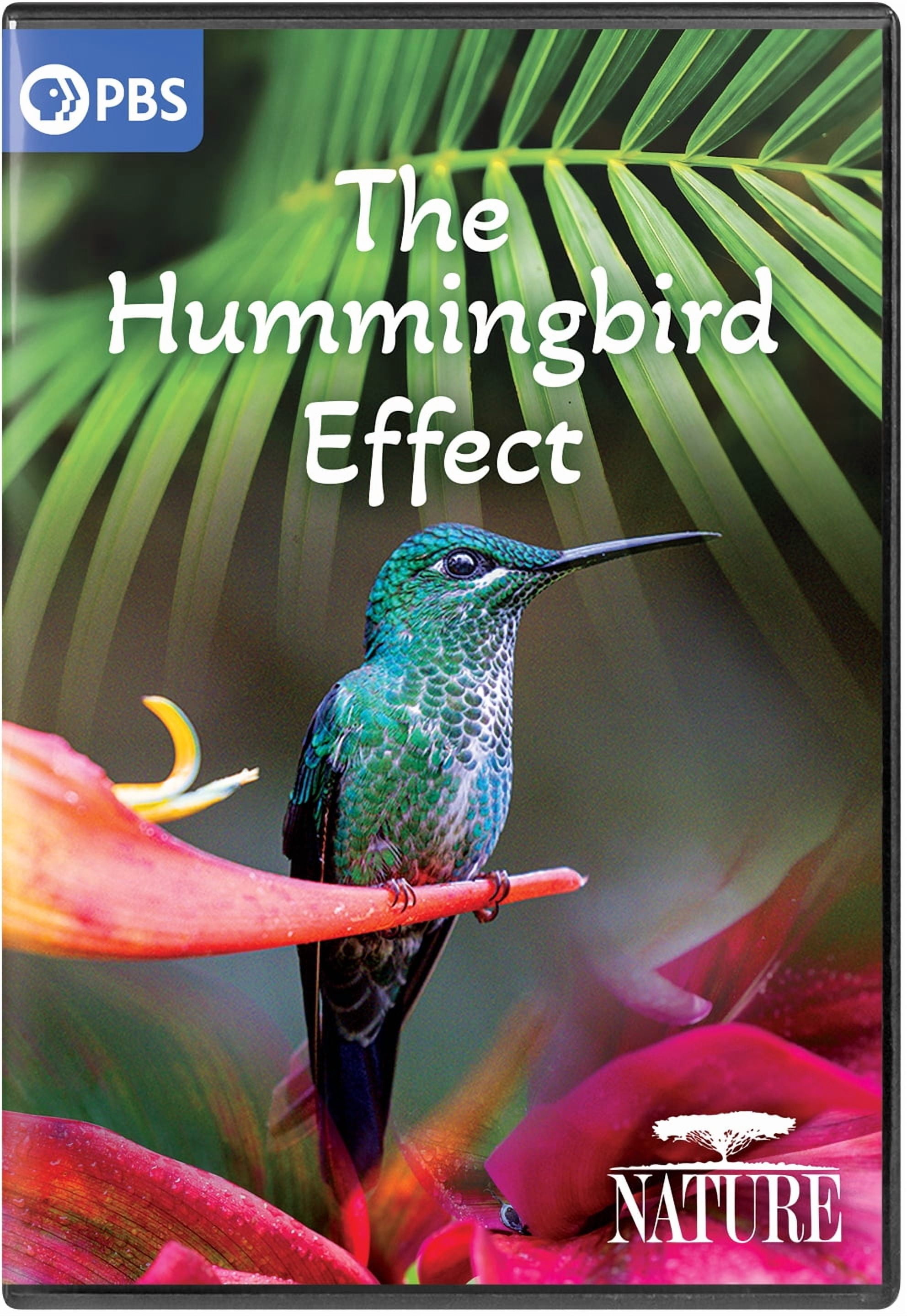 NATURE: The Hummingbird Effect - Walmart.com
